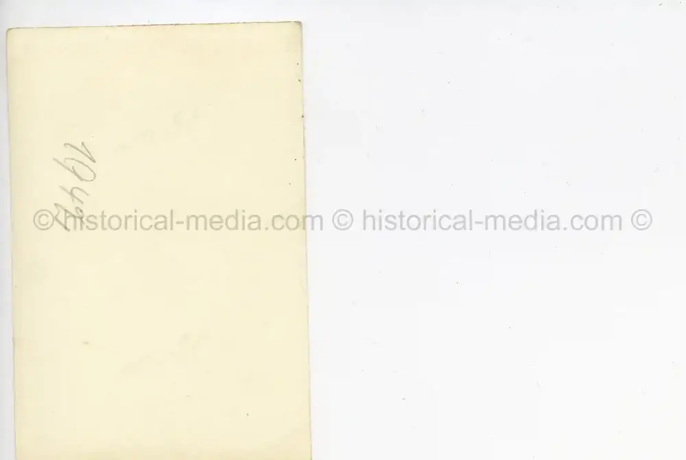 WAFFEN-SS PHOTO – WIKING OFFICERS CONFER IN FIELD – Historical Media, Inc.