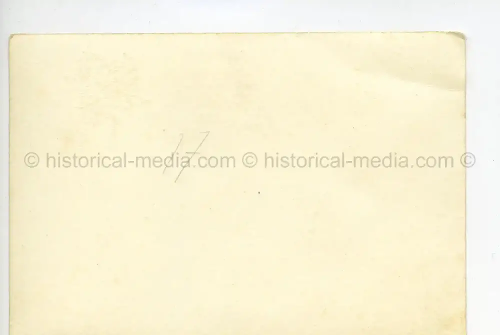 WAFFEN-SS PHOTO – WIKING SOLDIERS ON PARADE – Historical Media, Inc.