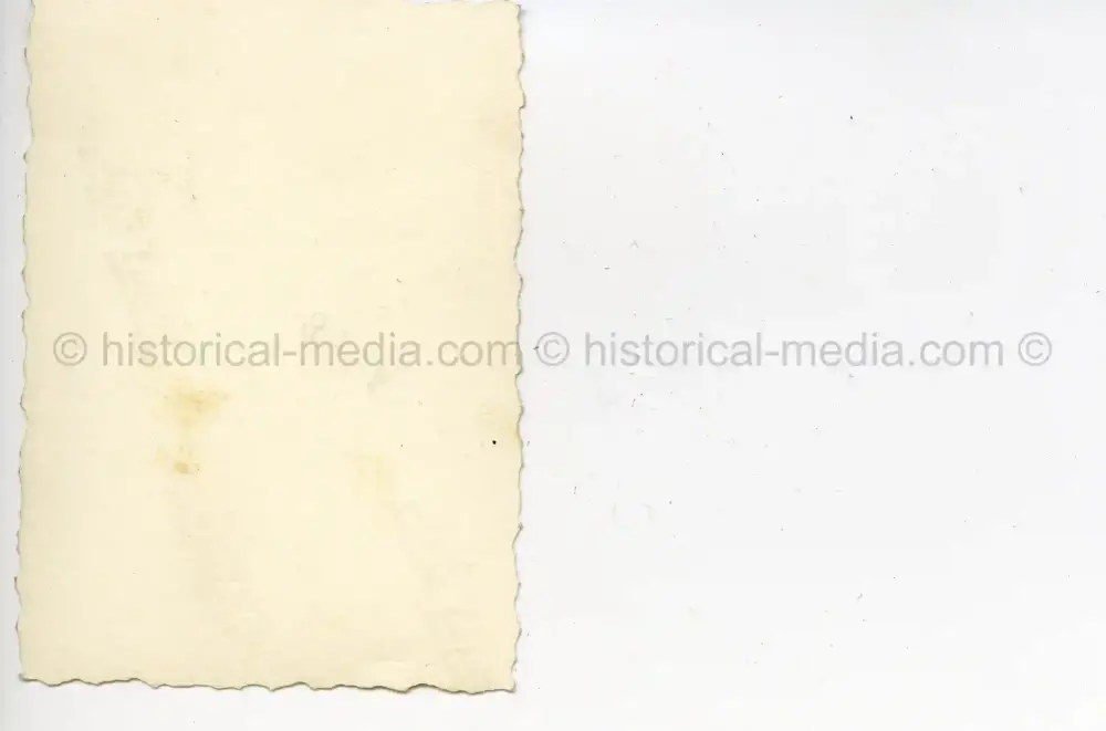 WAFFEN-SS PHOTO – WIKING OFFICER AND WIFE POSE – Historical Media, Inc.